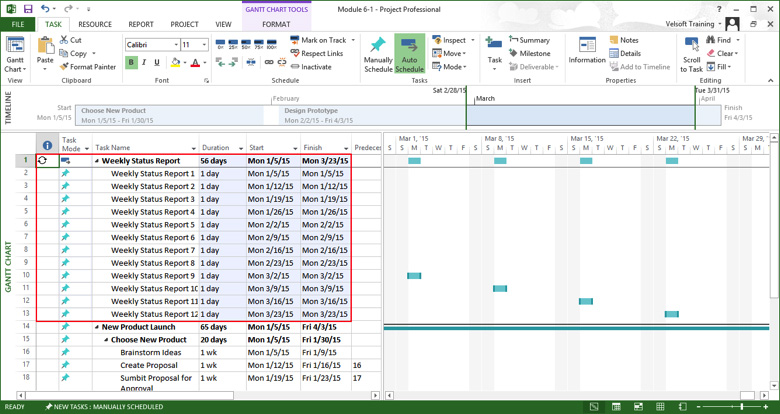 Managing Tasks In Ms Project Training Connection